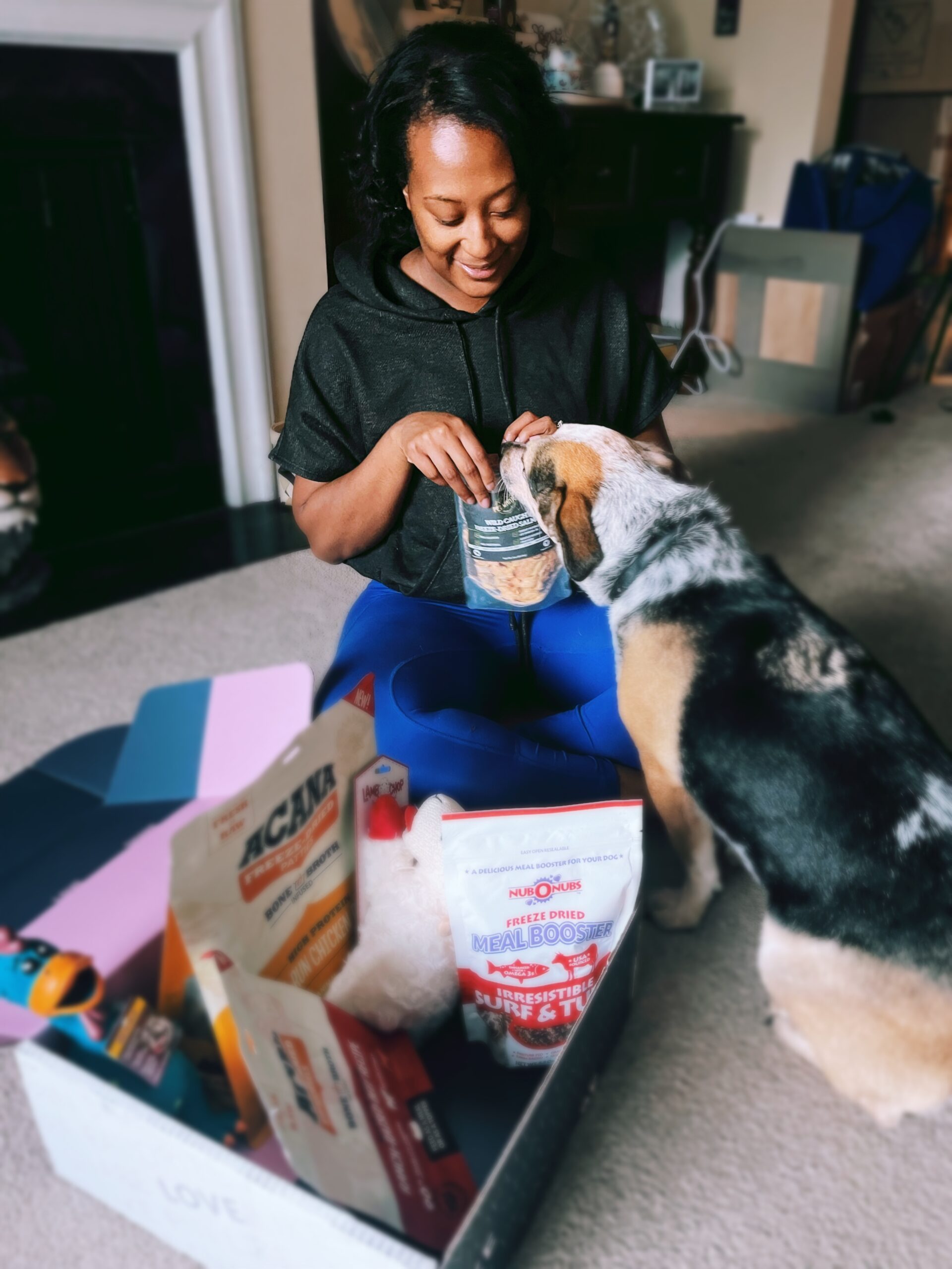 Everyday Pup Essentials - Absolutely Alli